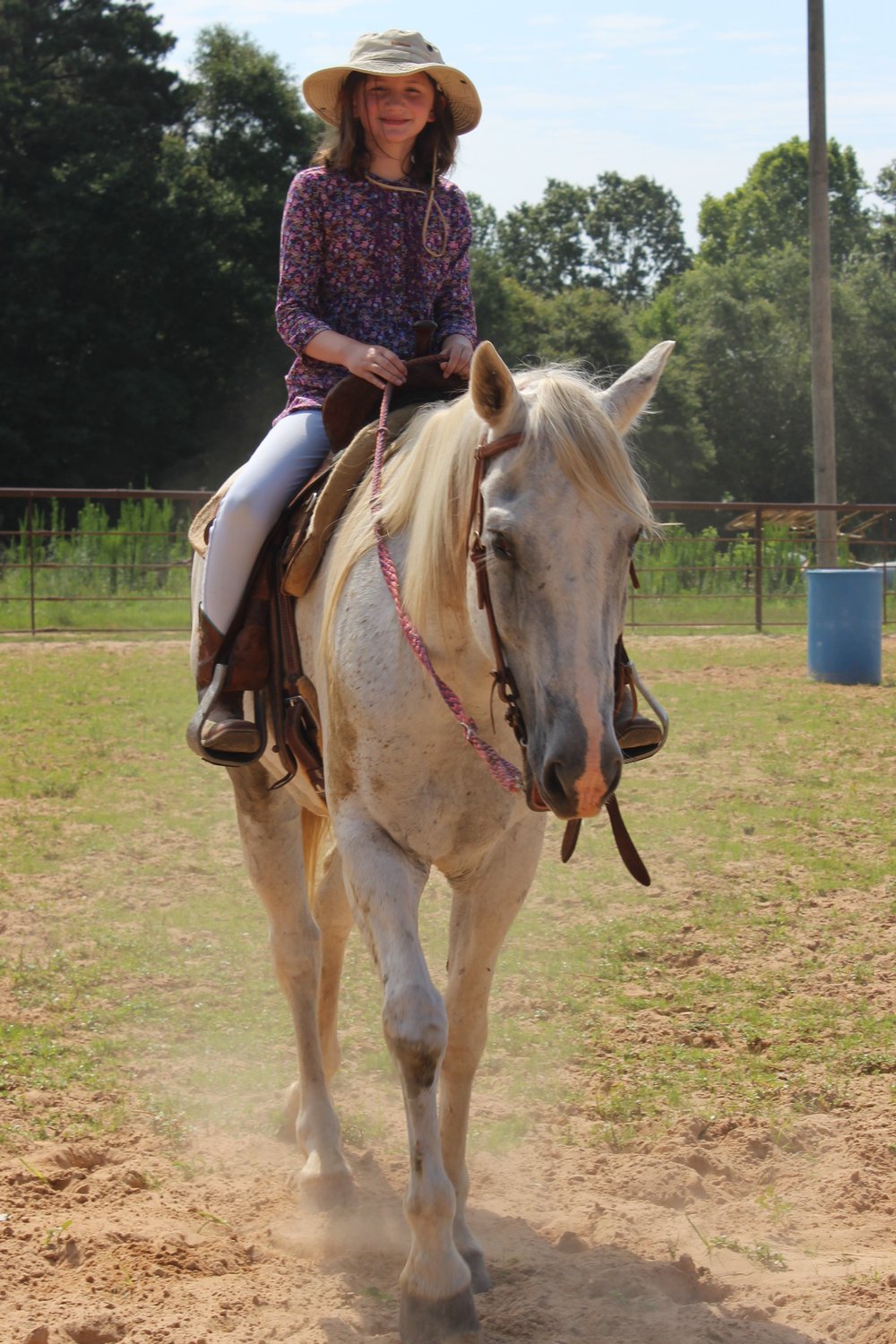 Beginners need Geldings! - Signature D Horses